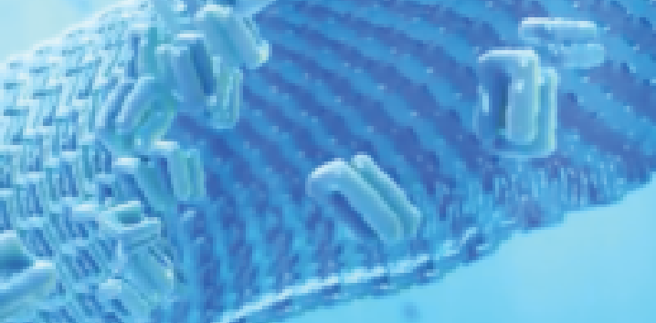 Formulation | Somatuline® Depot 120mg Injection | HCP